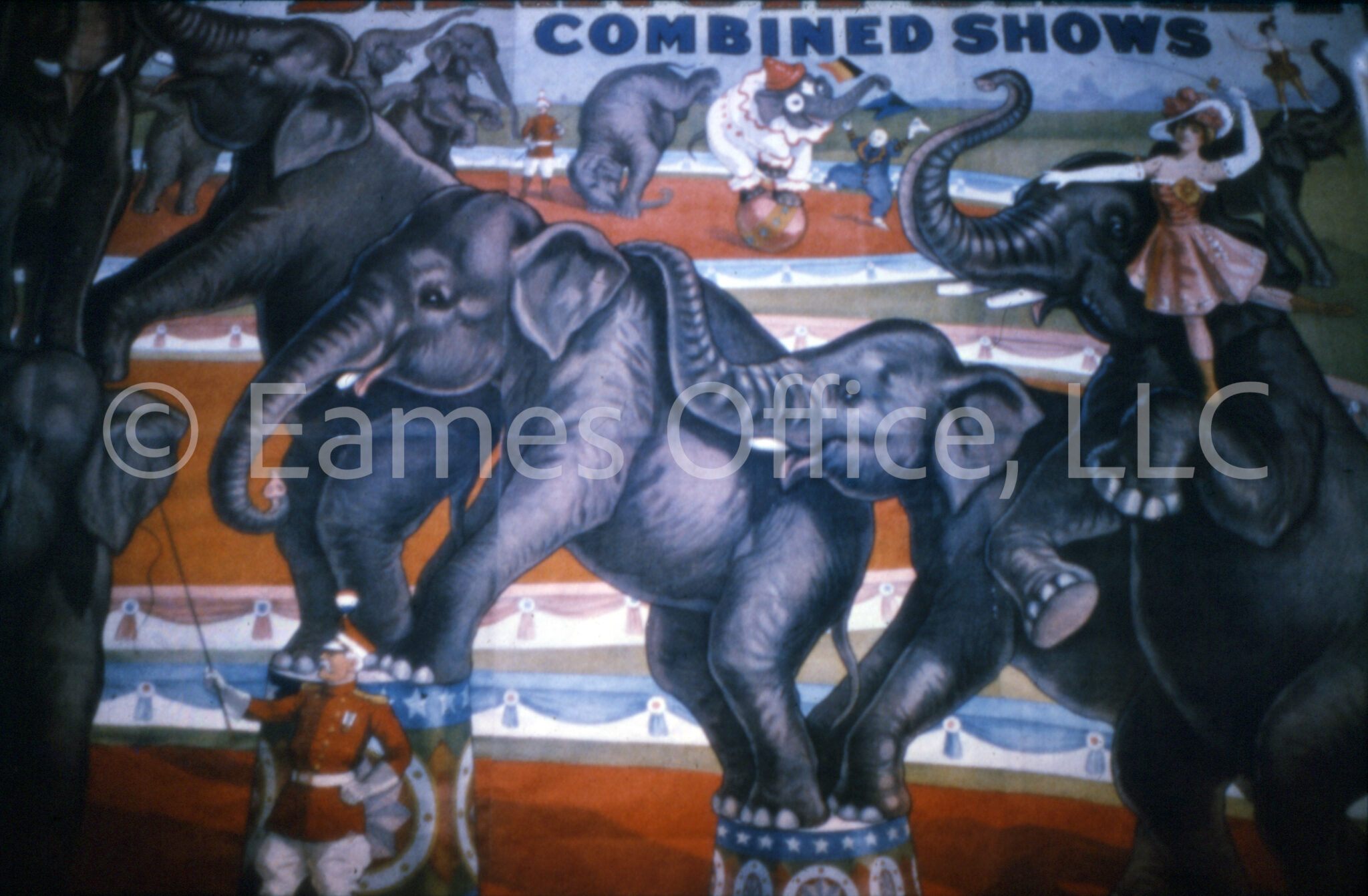 Gallery: Circus Photography - Eames Office